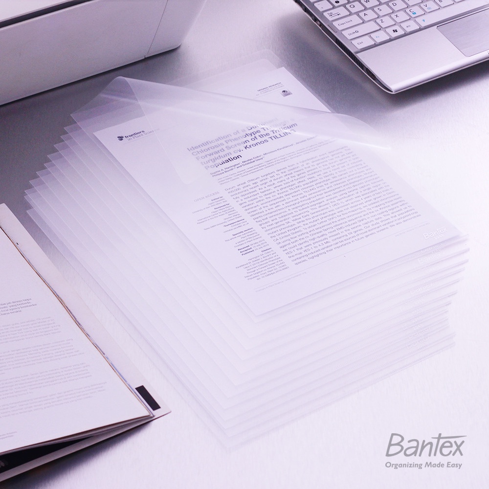 Jual [BMS Semarang] 12 Pcs Bantex Map L Plastik Bening Clear Sleeve L ...