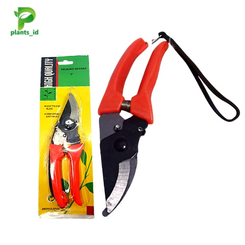 Jual Gunting Dahan Gunting Ranting Gunting Bunga Alat Pemotong Dahan ...