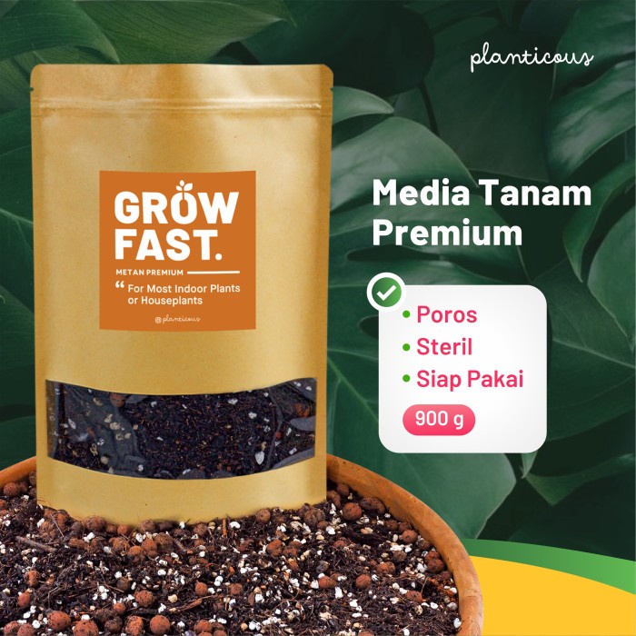 Jual Tanam-Media- Media Tanam Planticous / Media Tanam Steril Alocasia ...
