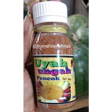 Jual Uyah Ungah Khas Banjar Pencok Isi 100 Grm | Shopee Indonesia