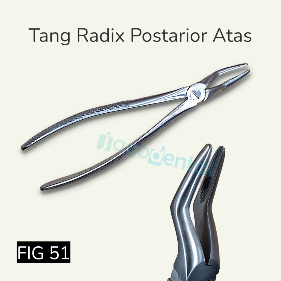 Jual DENTAL TANG CABUT GIGI DEWASA SATUAN TOOTH FORCEP / FORCEPS / TANG ...