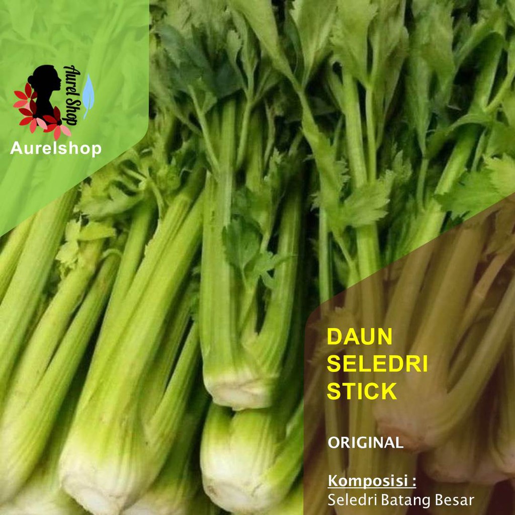 Jual Daun Seledri Stik Sledri Batang Segar Celery Stick Fresh kemasan 1 ...