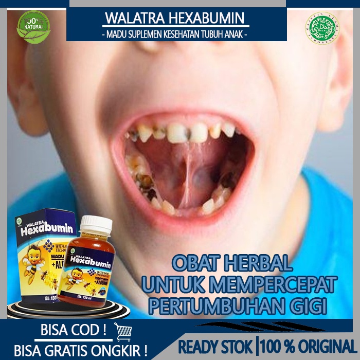 Jual Obat Penumbuh Gigi, Obat Penumbuh Gigi Berlubang Anak, Obat ...