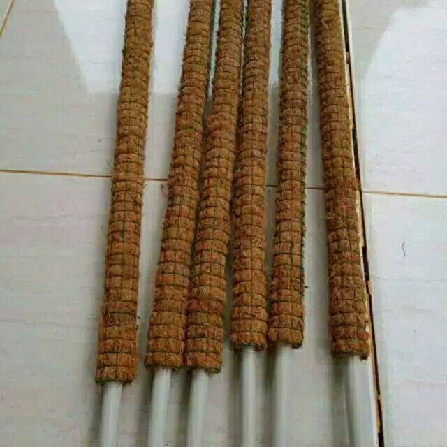 Jual MEDIA TANAM TURUS // TIANG PENYANGGA // TIANG RAMBATAN TANAMA 60 ...