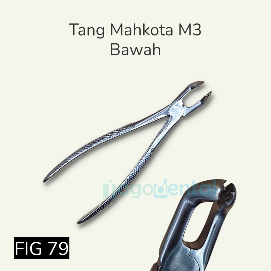 Jual DENTAL TANG CABUT GIGI DEWASA SATUAN TOOTH FORCEP / FORCEPS / TANG ...