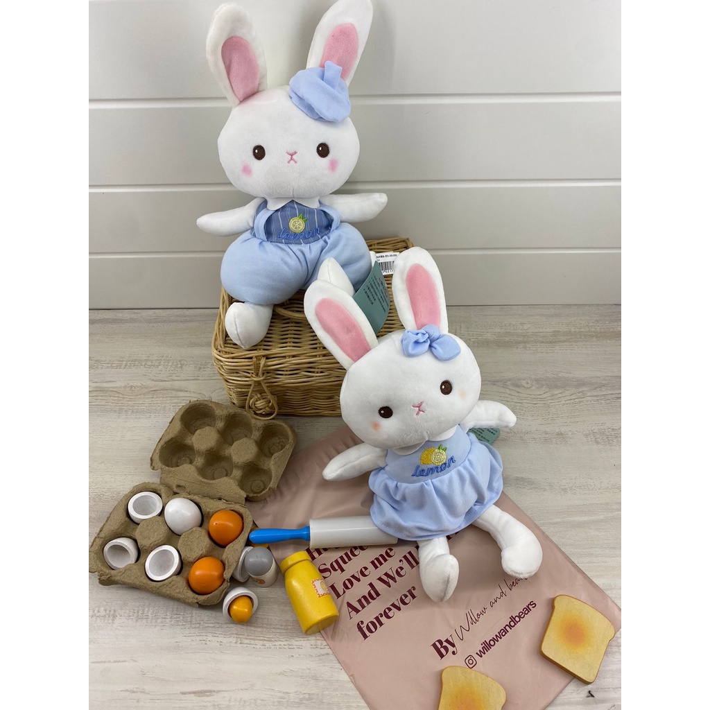 Jual Boneka Kelinci Hope Rabbit 32 cm (No fur and velvet) | Shopee ...
