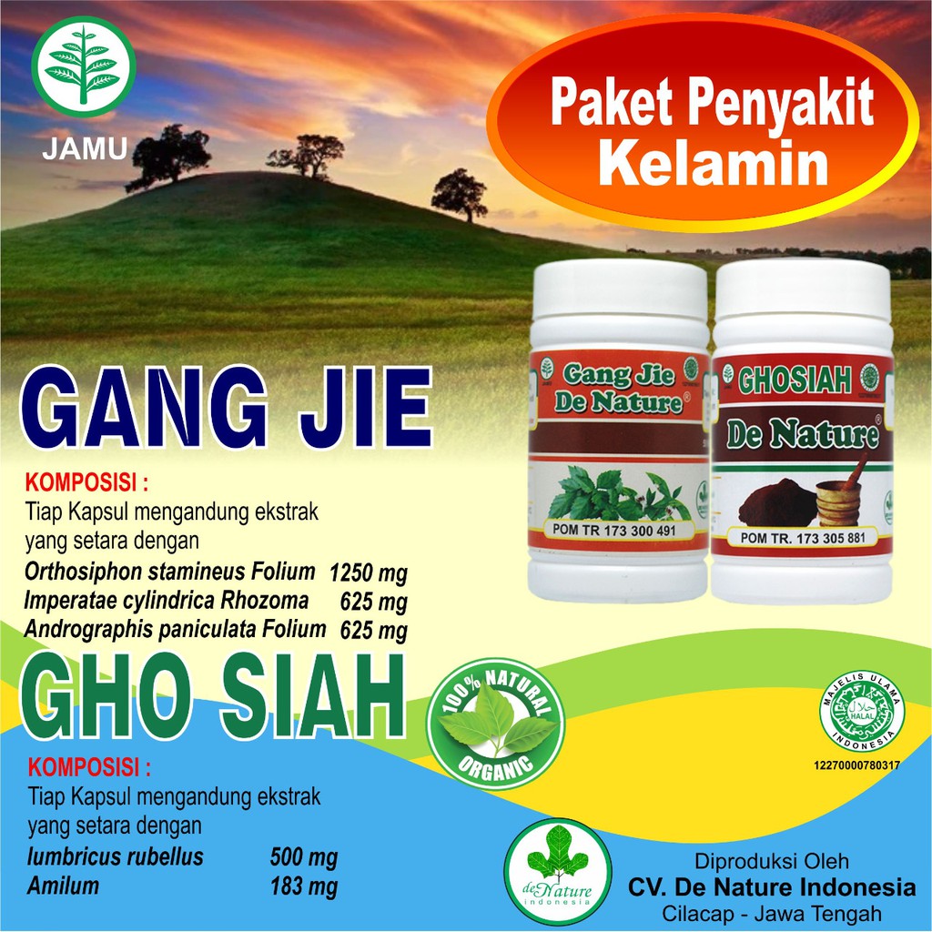 Jual Obat Atasi Awal Tanda Tanda Penderita Kena Sipilis Yang Wajib ...