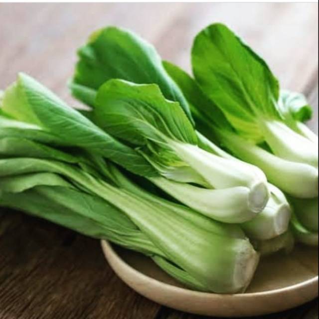 Jual SAYUR PAKCOY SEGAR / BUNGKUS | Shopee Indonesia