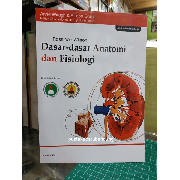 Jual Buku Dasar Dasar Anatomi Dan Fisiologi Edisi 12 Lengkap Edisi Revisi Terbaru Terlengkap ...