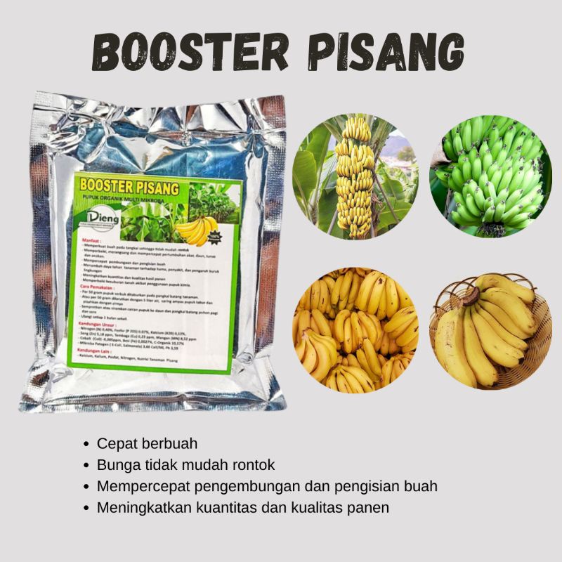 Jual Pupuk Booster Organik Pelebat Buah Pisang 250 gr, Pupuk Pisang agar cepat berbuah lebat ...