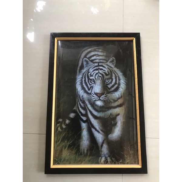Jual Cetak Gambar Macan putih Plus Bingkai uk;65cm x 45cm | Shopee ...
