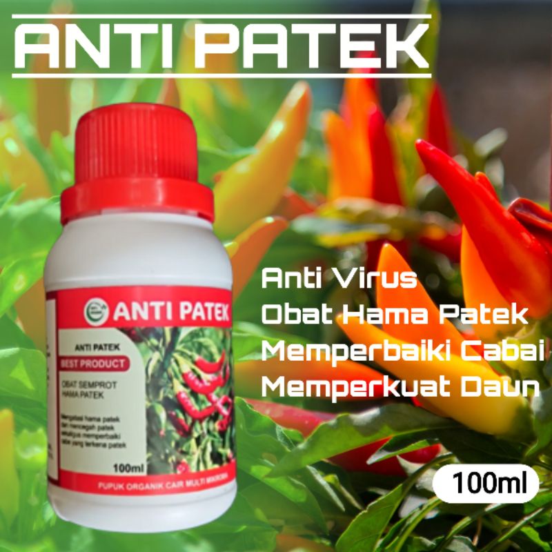 Jual Pupuk Fungisida Organik Hama Patek Obat Cabai Anti Patek Obat ...