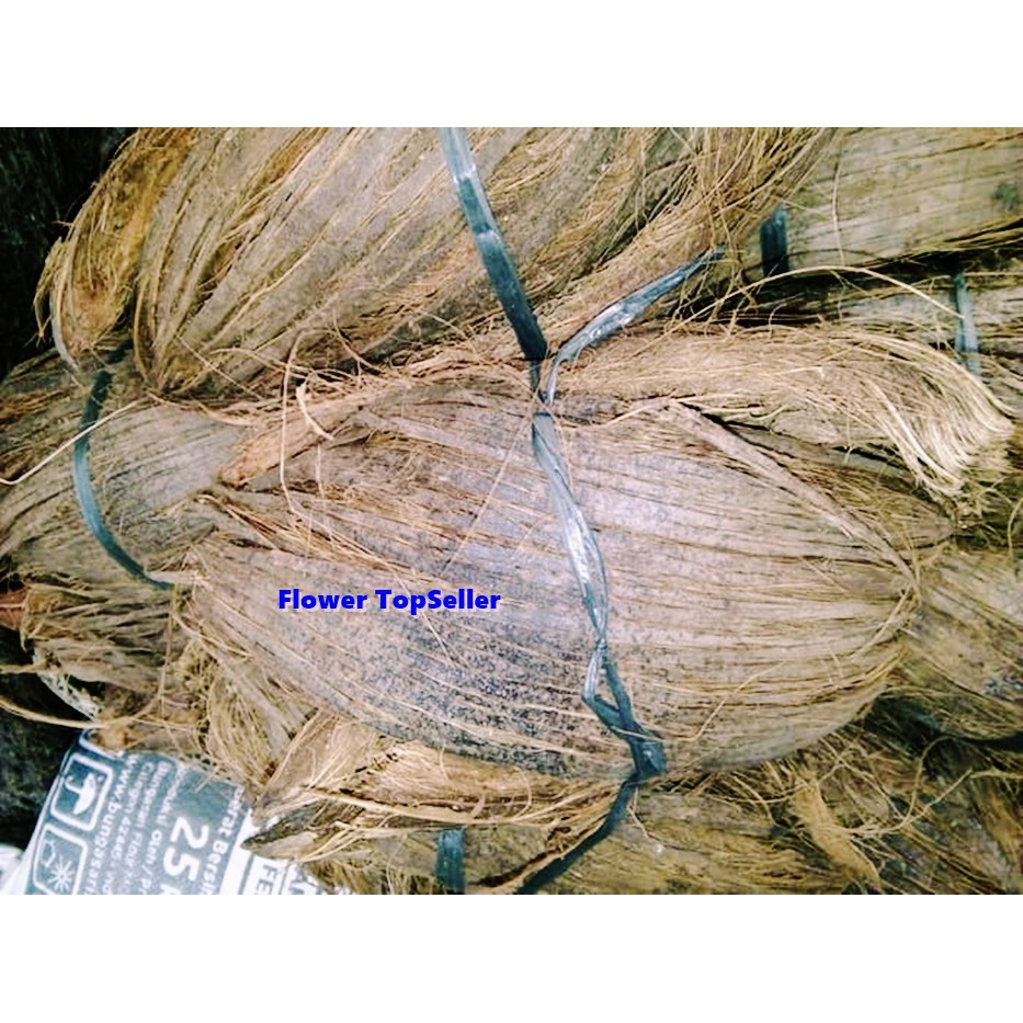 Jual Sabut / Serabut / Sabut Kelapa / Serabut Kelapa | Shopee Indonesia
