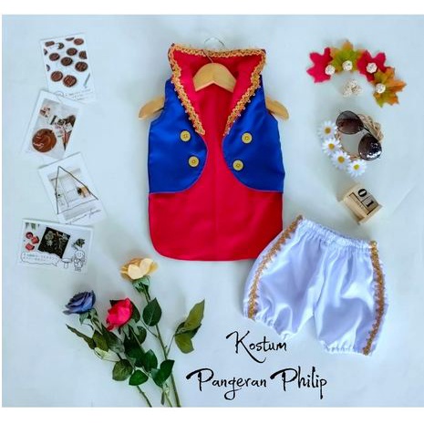 Jual BAJU ANAK KOSTUM PANGERAN PHILIP NEWBORN / KOSTUM ANAK-ANAK ...