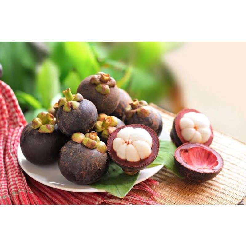Jual MANGGIS - BUAH MANGGIS SEGAR FRESH - BUAH SEGAR BERKUALITAS SUPER ...