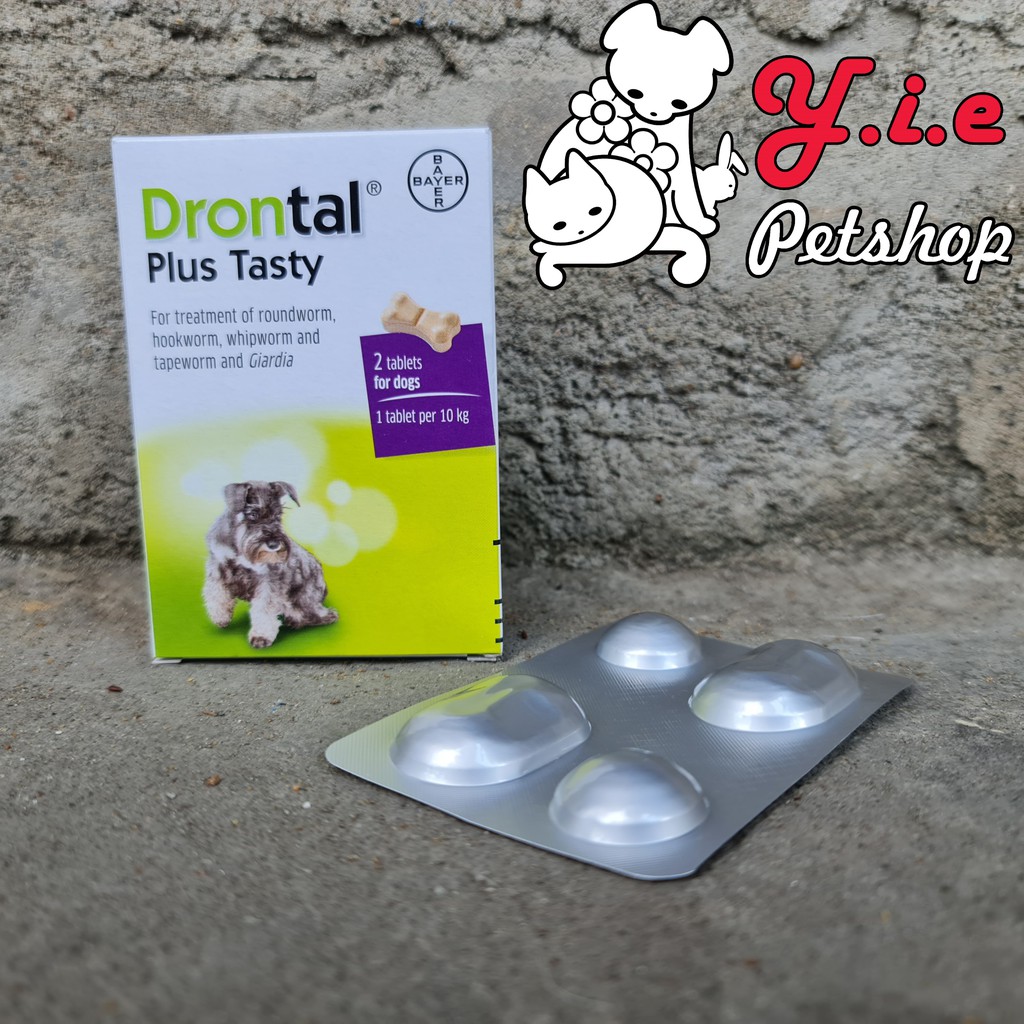 Jual Drontal DOG obat cacing ANJING ( ISI 2 TABLET ) | Shopee Indonesia