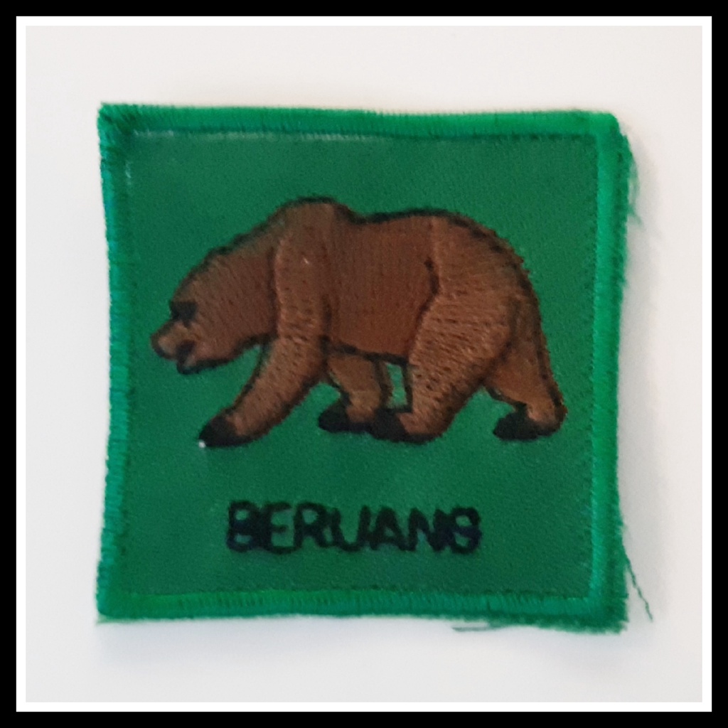 Jual Badge + Bendera Regu Pramuka Penggalang Putra [set] | Shopee Indonesia