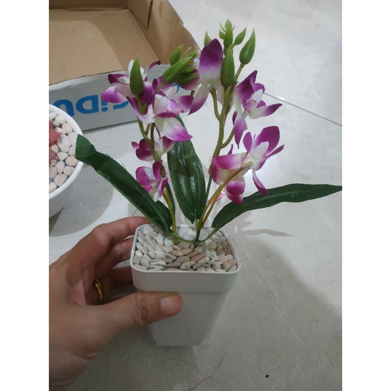 Jual anggrek dendrobium mini tanaman artificial rangkaian bunga plastik ...