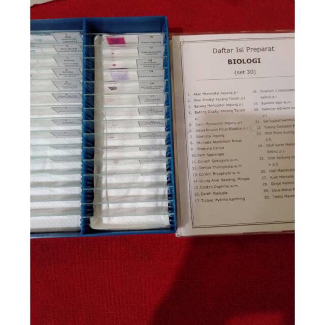 Jual Preparat Biologi isi 30bh preparet/preparat berisi 30macam nama ...