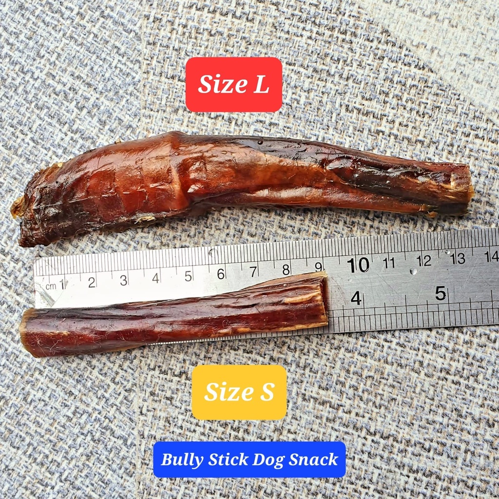 Jual RumahBully - SHORT BULLY STICK JERKY DEHYDRATED DOG CAT SNACK ...