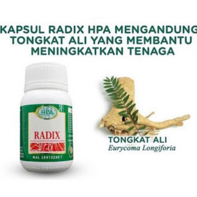 Jual KAPSUL RADIX HPA MALAYSIA | Shopee Indonesia