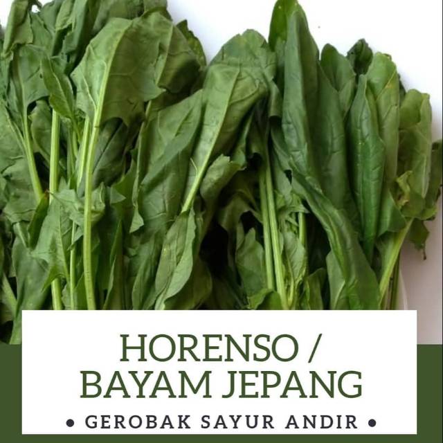 Jual Bayam Jepang/Horenso /500gr | Shopee Indonesia