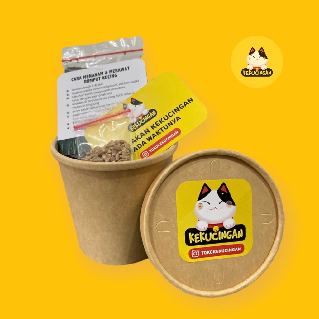 Jual DIY CUP RUMPUT KUCING Paket Tanam Rumput Gandum Paper Cup 12 oz ...