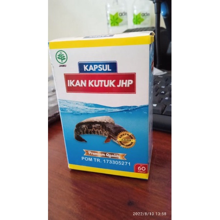 Jual KAPSUL IKAN KUTUK ( gabus) | Shopee Indonesia