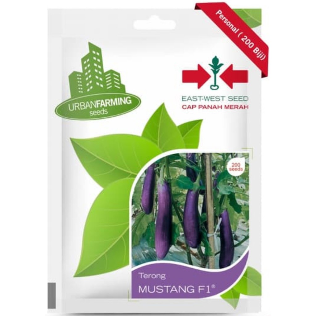 Jual Benih Panah Merah - Terong Mustang F1 | Shopee Indonesia