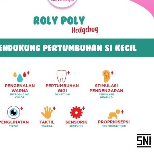 Jual IQANGEL 2In1 Roly Poly Hedgehog Landak Teether Toy - Blue | Shopee ...