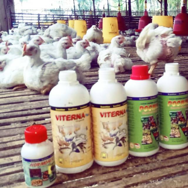 Jual vitamin ternak murah sapi ayam broiler kambing ayam petelur bebek dll | Shopee Indonesia