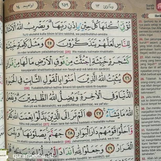 Jual MUSHAF AL-QUR'AN AL-MISBAH BESAR UKURAN A4, AL-QURAN TRANSLIT ...