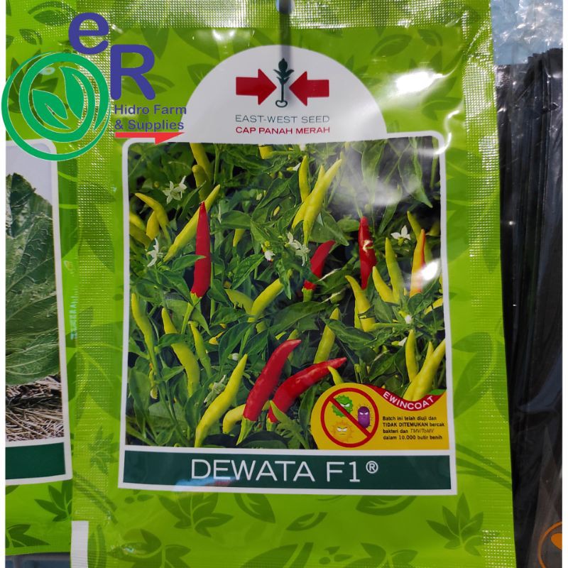 Jual 2250 butir Benih / Biji Cabai Rawit Putih / Rawit Setan - Dewata ...