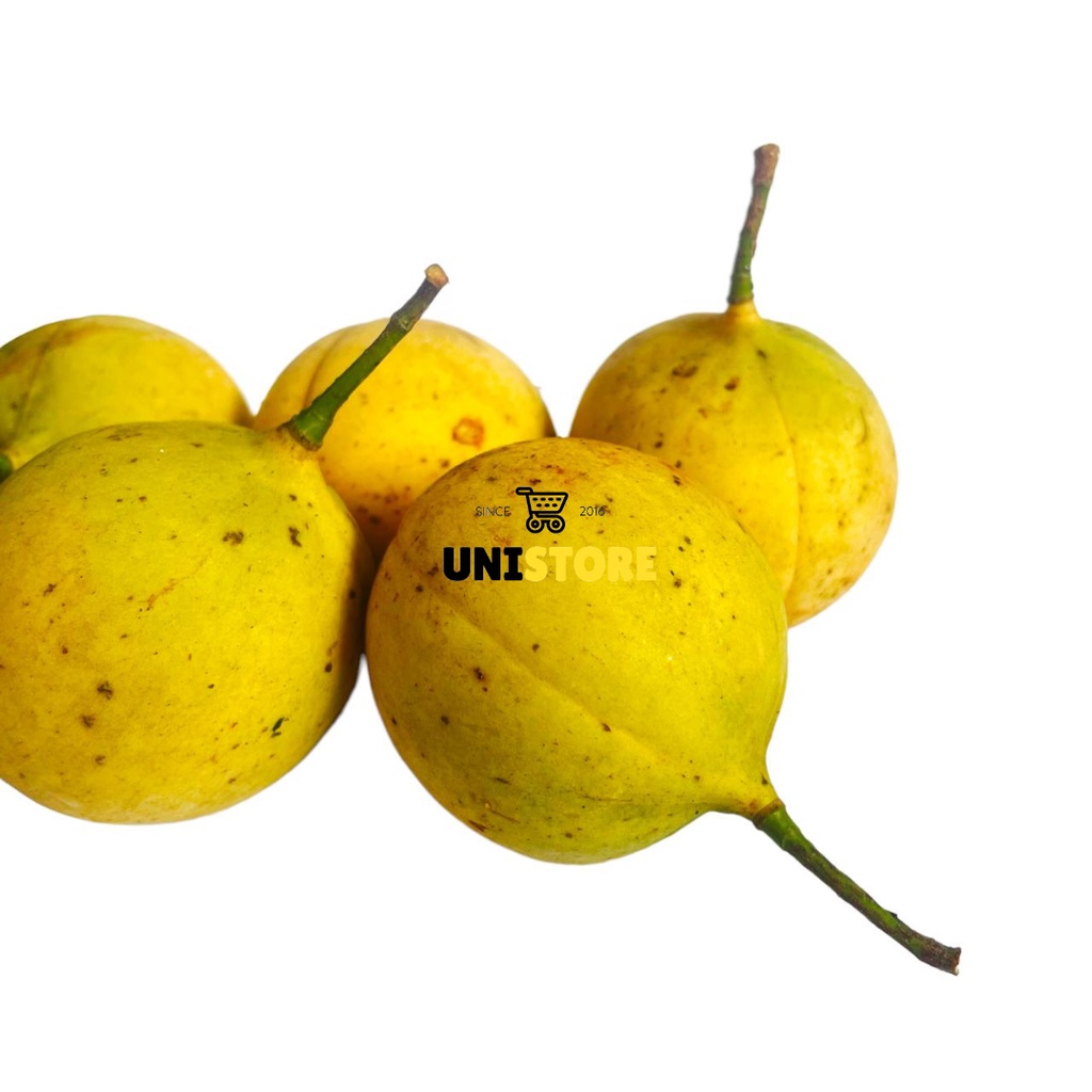 Jual Buah Pala Segar Untuk Herbal insomnia Dan Bahan MAnisan Pala ...