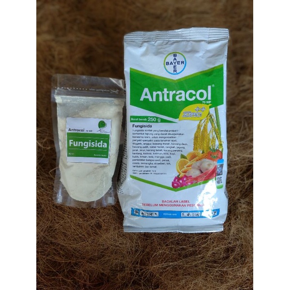 Jual ANTRACOL 70WP PLUS ZINC PUPUK FUNGISIDA ANTI JAMUR TANAMAN HIAS ...