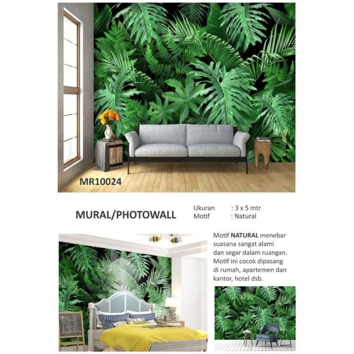 Jual Photowall Wallpaper Dinding Mural Motif Daun Monstera Wd676538