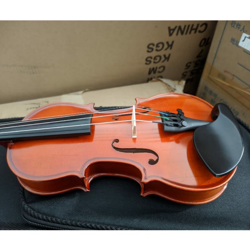 Jual Biola Violin Ukuran Kecil Anak Scott Guan 168 Ukuran Size 1/10 ...