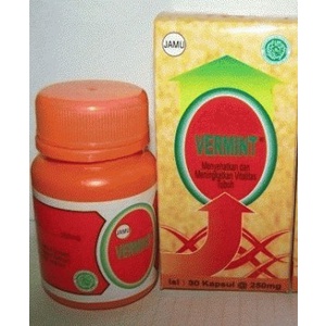 Jual VERMINT ISI 30 KAPSUL OBAT PENYAKIT TIFUS / TIPES / TYPUS TERBAIK ...