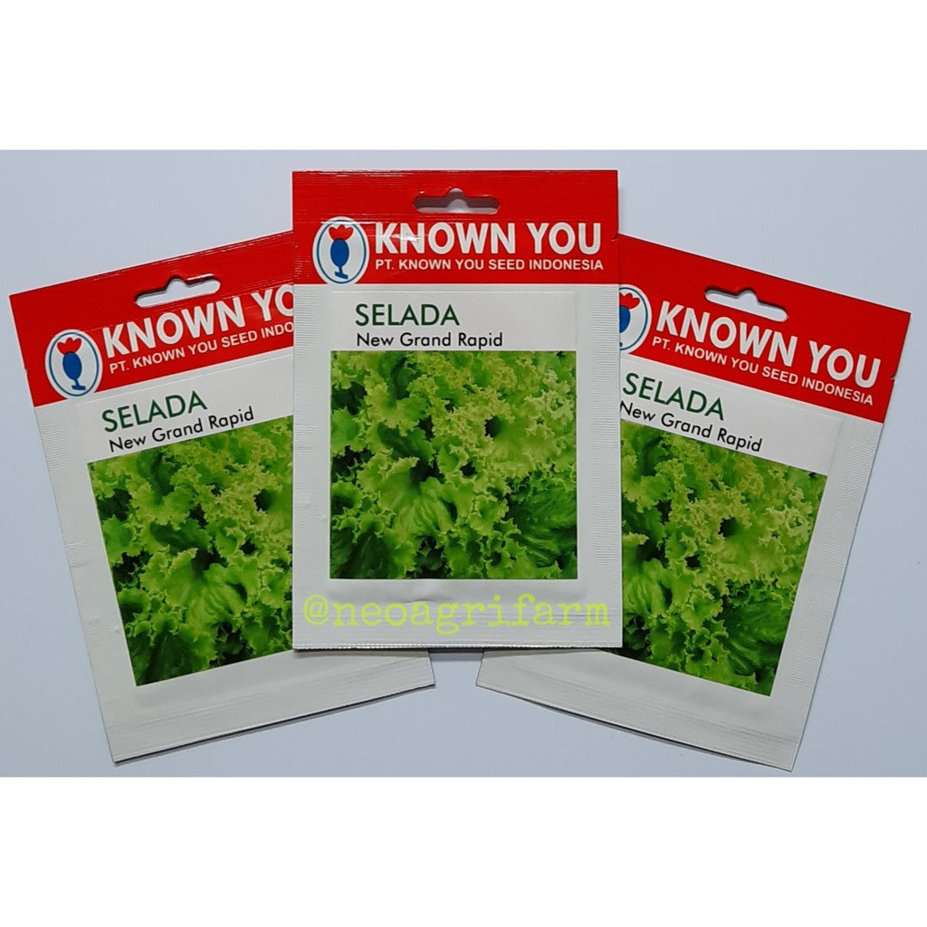 Jual Benih Selada Hijau NEW GRAND RAPID Known You Seed | Shopee Indonesia