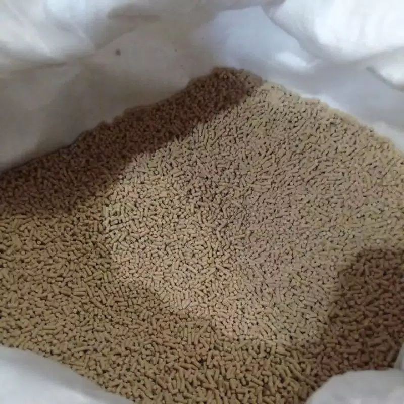 Jual PELET TENGGELAM PAKAN IKAN DAN UDANG 1KG | Shopee Indonesia