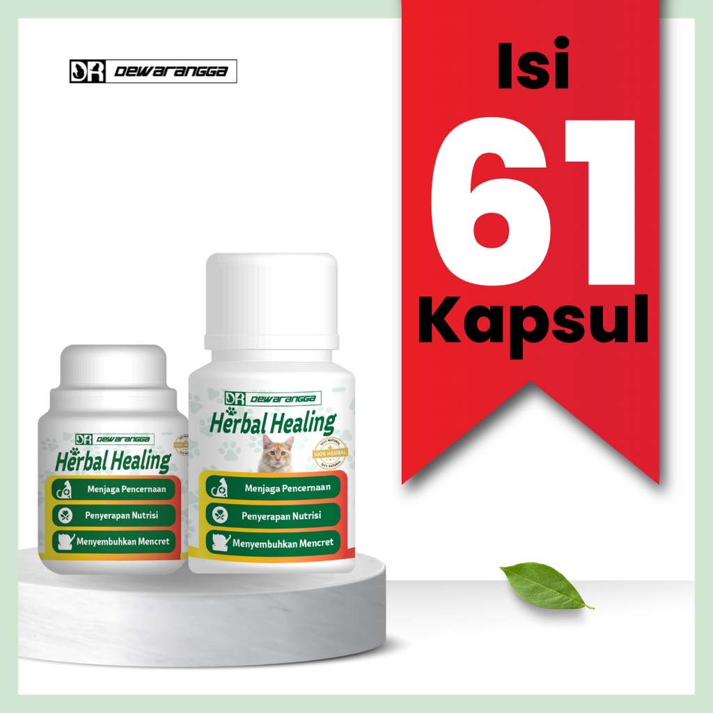 Jual Vitamin Kucing Diare dan Mencret Dewarangga - Obat Diare Kucing ... Jual Vitamin Kucing Diare dan Mencret Dewarangga - Obat Diare Kucing ...