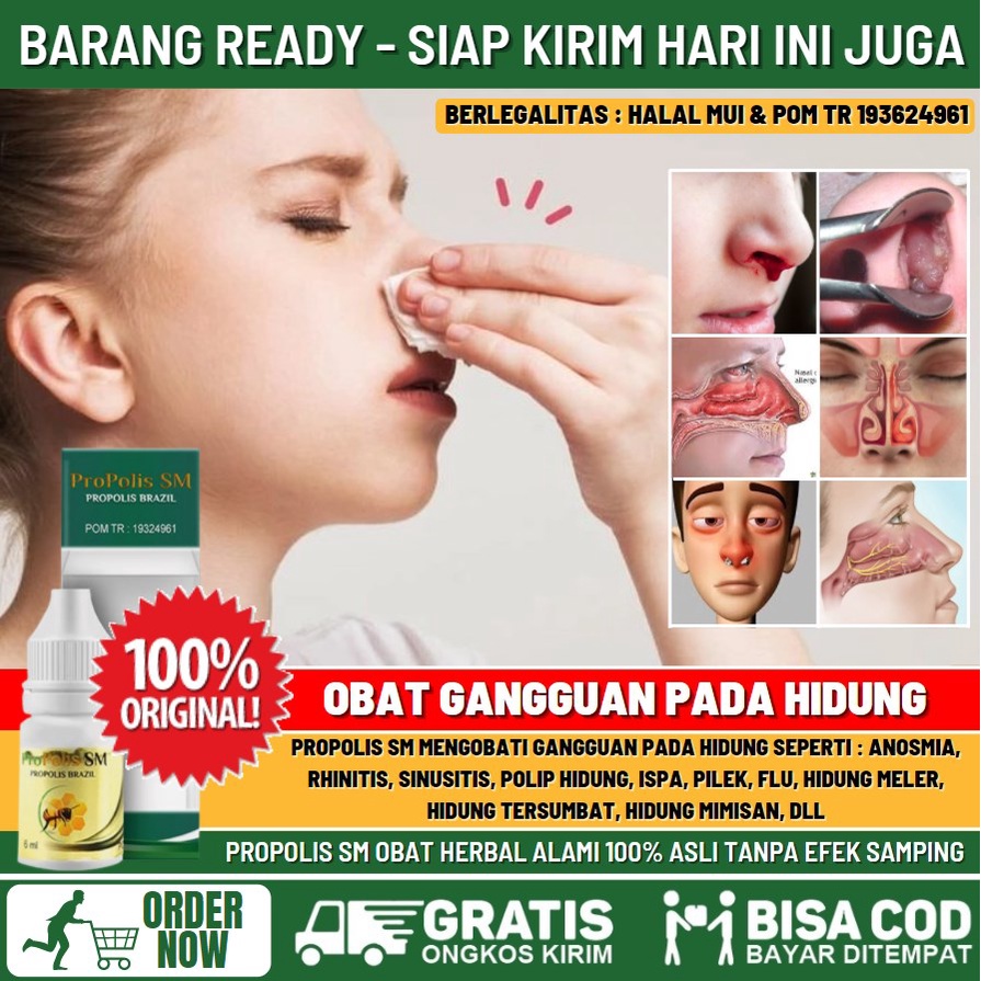 Jual PROPOLIS SM BRAZIL ORIGINAL - Obat Tetes Penyakit Sinusitis Akut ...