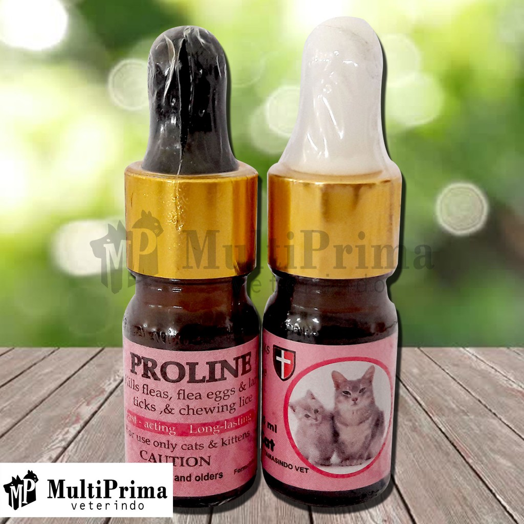 Jual Obat Anti Kutu Kucing - PROLINE PLUS Cat 2.5 ml - Flea Tick ...