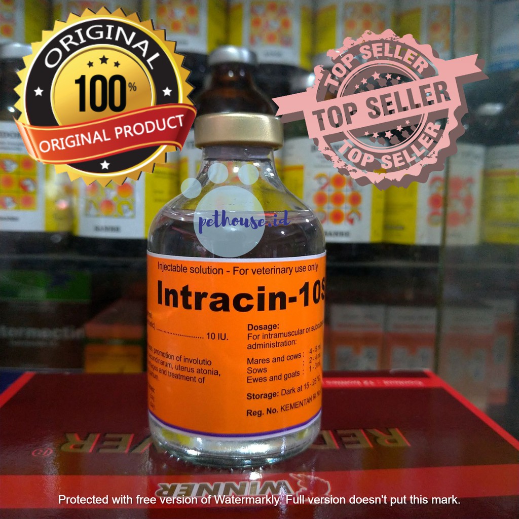 Jual INTRACIN (Pengganti Oxytocin) Hormon Perangsang Kontraksi ...