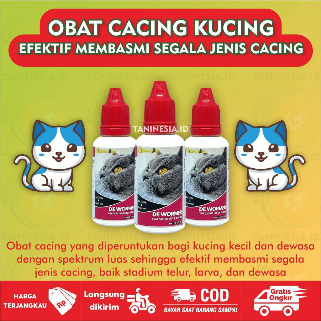 Jual OBAT CACING KUCING AMPUH KITTEN KUCING DEWASA OBAT CACING TETES ...
