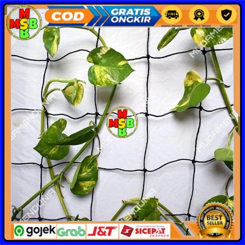 Jual Jaring Tanaman Buah Anggur Sayuran Tanaman Rambat/Jaring Tanaman ...