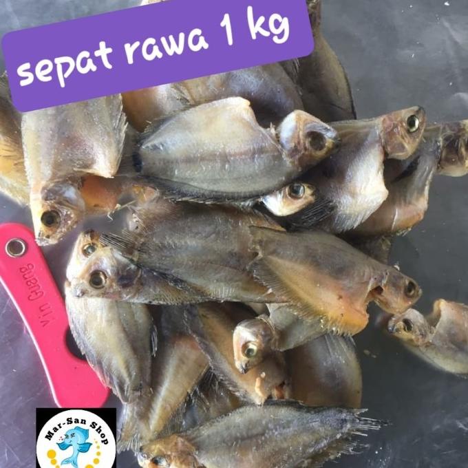 Jual [COD] ikan asin sepat rawa 1 kg [COD] | Shopee Indonesia