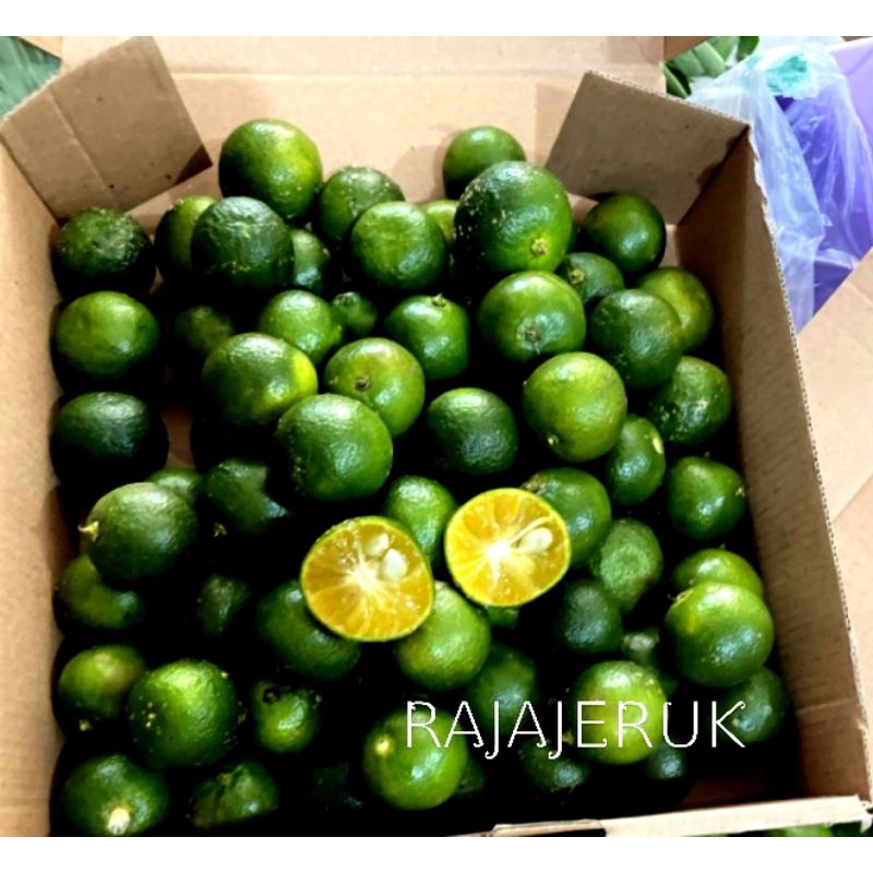 Jual Jeruk Sonkit / Lemon Cui / Jeruk Konci 1Kg | Shopee Indonesia