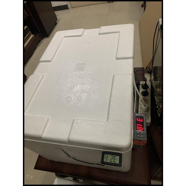 Jual incubator ball python /incubator reptile /inkubator reptil ...