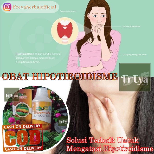Jual OBAT HIPOTIROIDISME, OBAT HERBAL KEKURANGAN HORMON TIROID, OBAT ... Jual OBAT HIPOTIROIDISME, OBAT HERBAL KEKURANGAN HORMON TIROID, OBAT ...